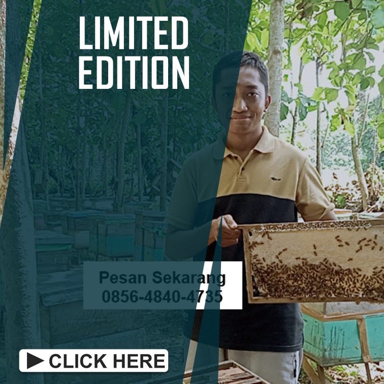 CALL 0856–4840–4735 Pusat Jual Beli Supplier Sarang Madu Asli Untuk ... CALL 0856–4840–4735 Pusat Jual Beli Supplier Sarang Madu Asli Untuk ...