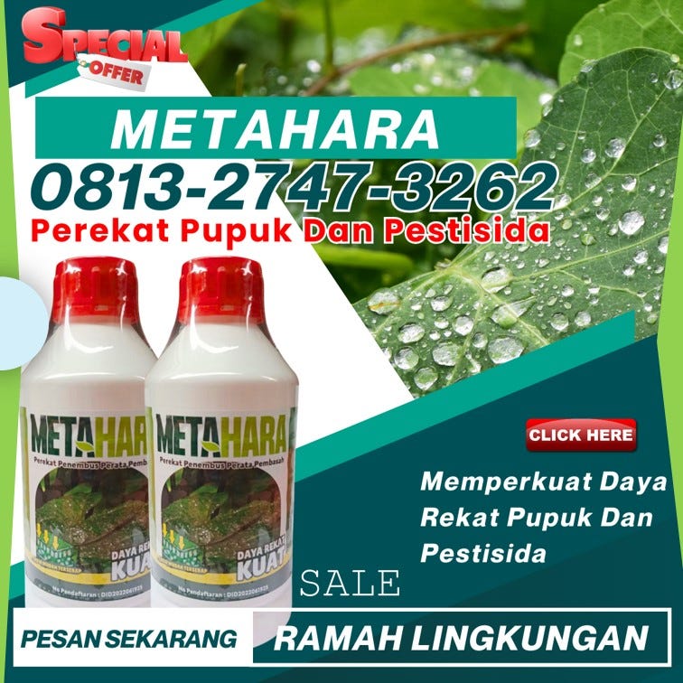 HARGA KHUSUS! 0813–2747–3262, GROSIR Perekat Perata Kota Pasuruan ...