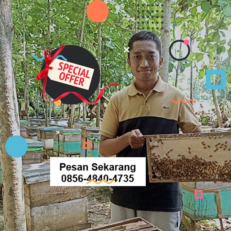 CALL 0856–4840–4735 Pusat Pertokoan Supplier Madu Sarang Lebah Untuk ... CALL 0856–4840–4735 Pusat Pertokoan Supplier Madu Sarang Lebah Untuk ...