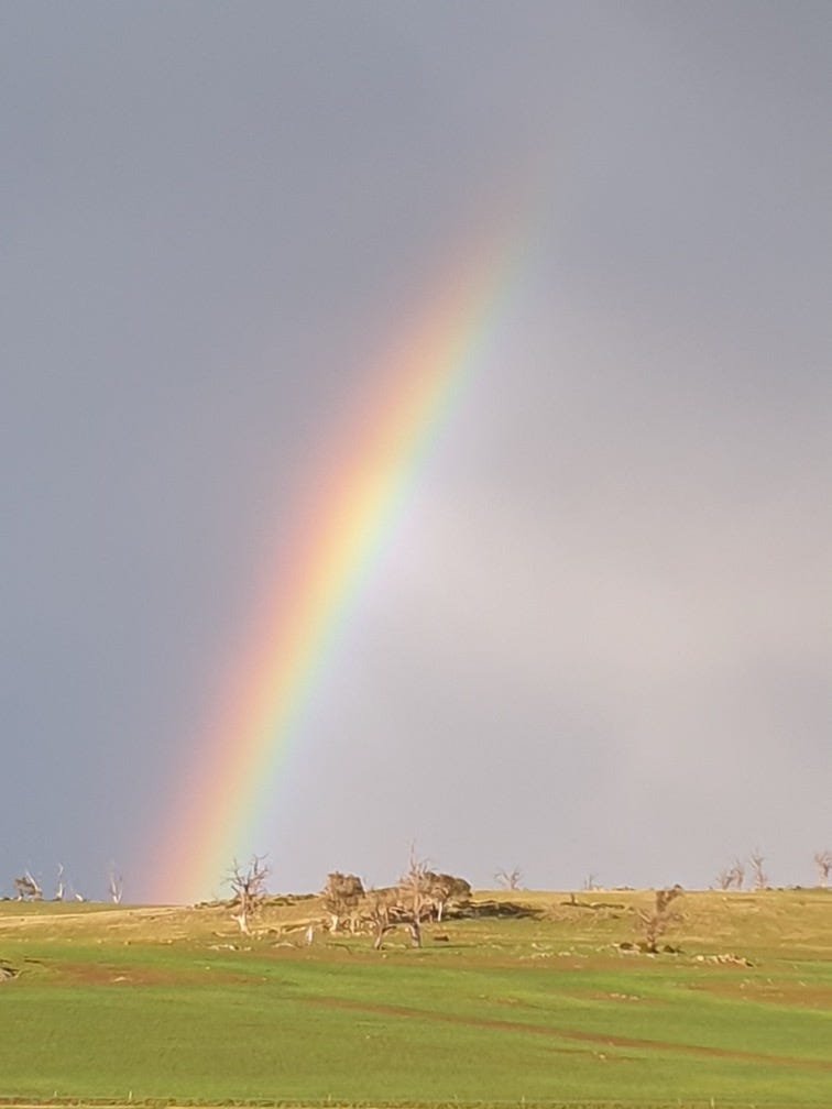 Perspicuity. Noun — clearly expressed and easily… | by David Rudder ...