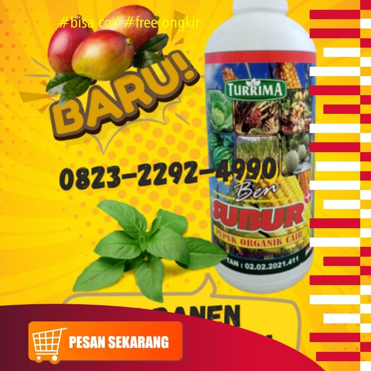 ORGANIK CALL 0823–2292–4990, JUAL pupuk cabe dan tomat Situbondo ... ORGANIK CALL 0823–2292–4990, JUAL pupuk cabe dan tomat Situbondo ...