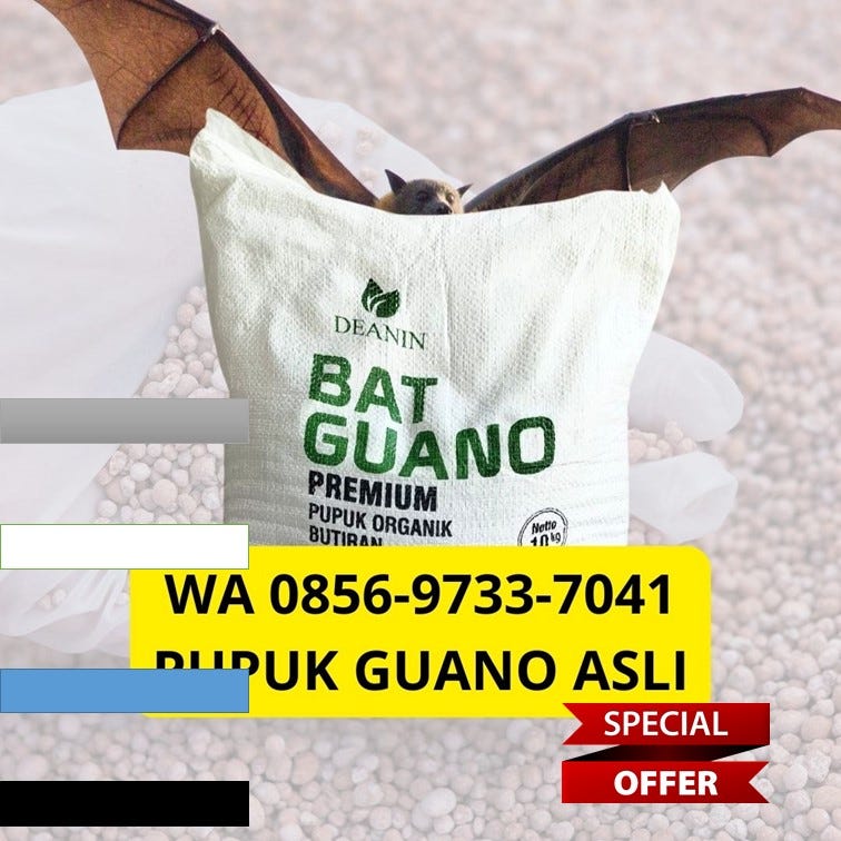 GUANO ASLI, WA 0856–9733–7041 Jual Pupuk Bat Guano Gorontalo - Pupuk ...