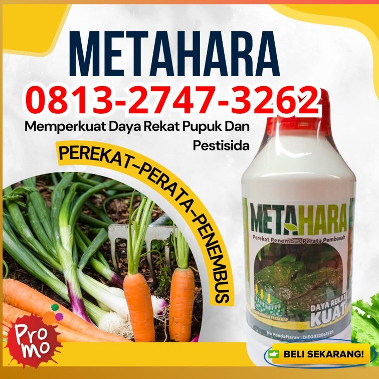 KUALITAS TERBAIK! 0813–2747–3262, HARGA Perekat Perata Penembus ...
