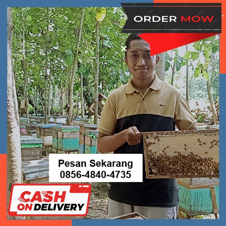 CALL 0856–4840–4735 Pusat Pertokoan Supplier Madu Sarang Lebah Untuk ... CALL 0856–4840–4735 Pusat Pertokoan Supplier Madu Sarang Lebah Untuk ...