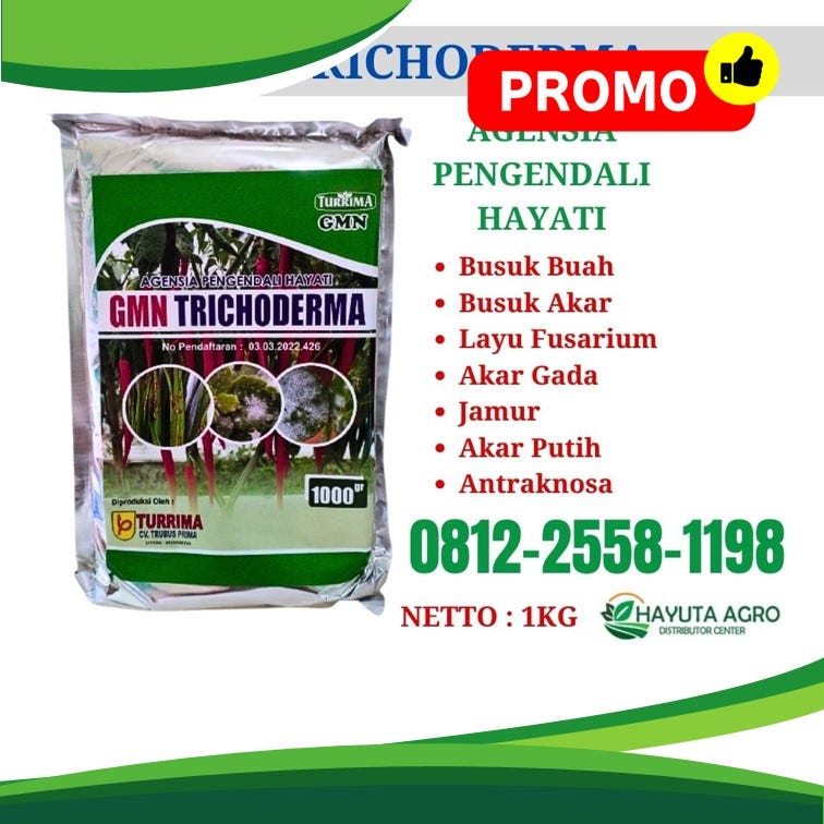 HARGA KHUSUS! TELP! 0812–2558–1198, PUSAT Nama Obat Antraknosa Wonosari ...