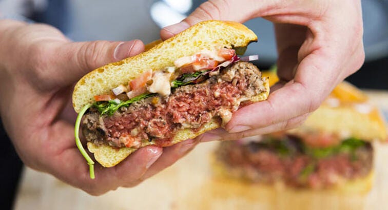Every Reason to Stop Eating Meat Right Now | by Aleyna Dogan | Climate ...