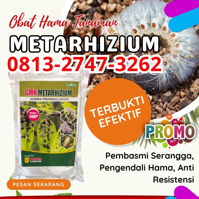 BISA COD! 0813–2747–3262, TOKO Insektisida Alami Baureno, Metarhizium ...
