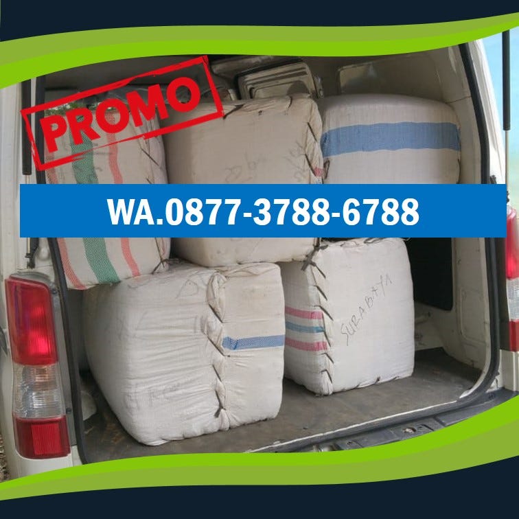 0813–9313–9465, Pembeli Tanaman Cincau Hitam Purbalingga, Beli ...