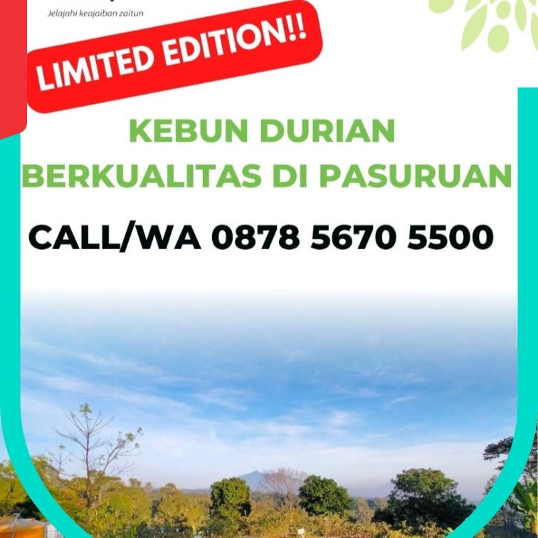 0878–5670–5500 (FOR SALE), Kavling Kebun Durian Di Pasuruan - Kavlingkebundurian - Medium