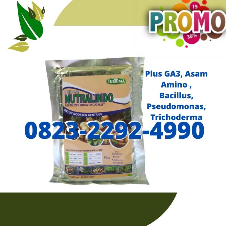 ORGANIK, WA 0823–2292–4990, Pusat pupuk kentang yang bagus Labuhanbatu ... ORGANIK, WA 0823–2292–4990, Pusat pupuk kentang yang bagus Labuhanbatu ...