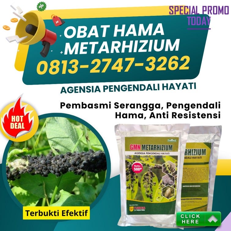 PENGENDALI HAMA! 0813–2747–3262, AGEN Insektisida Hayati Gandusari ...