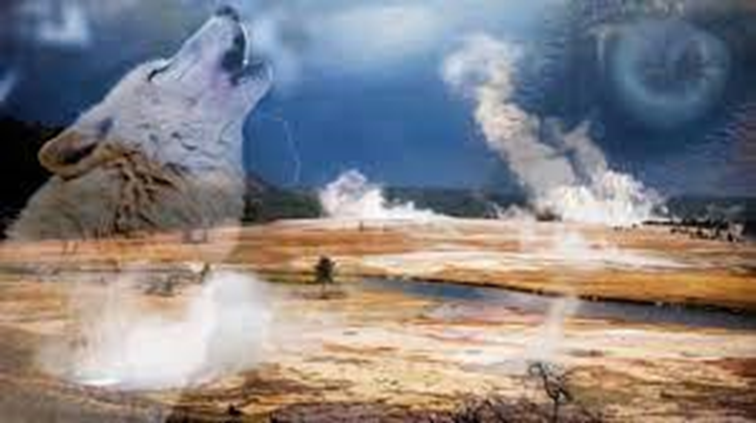 How Wolves Change Rivers-a Story of Interdependence | by The Institute ...
