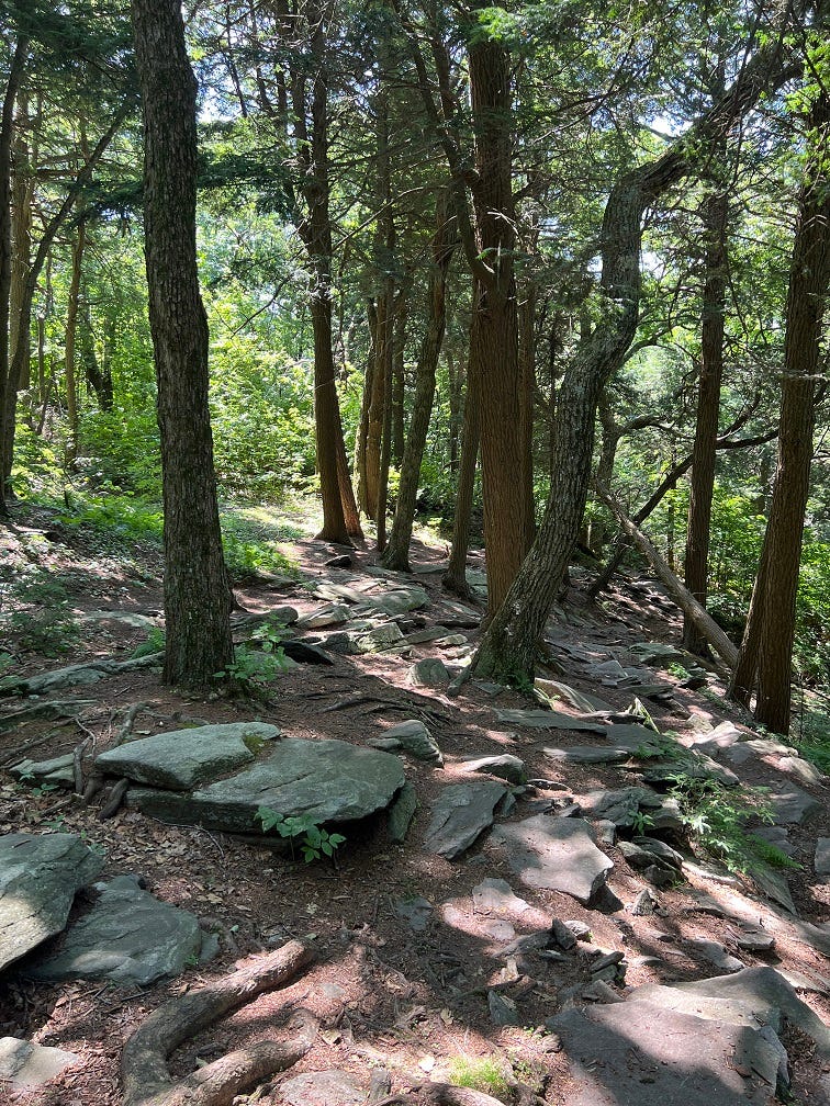 On Finding yourself. Dear Seeker, in the end you won’t so… | by Erik ...