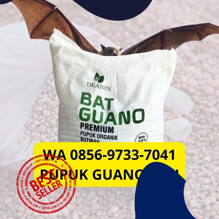 GUANO ASLI, WA 0856–9733–7041 Jual Pupuk Bat Guano Tebo - Pupuk Bat ...