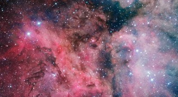 Dynamics and Star Formation in Giant Molecular Clouds: A Multi ...