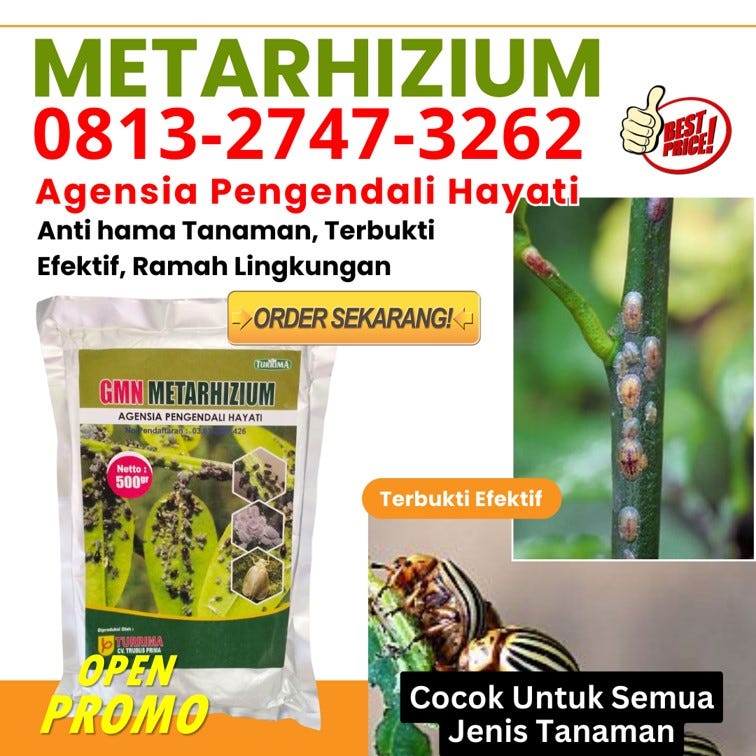 ANTI HAMA! 0813–2747–3262, SUPPLIER Insektisida Hayati Tanah Merah ...
