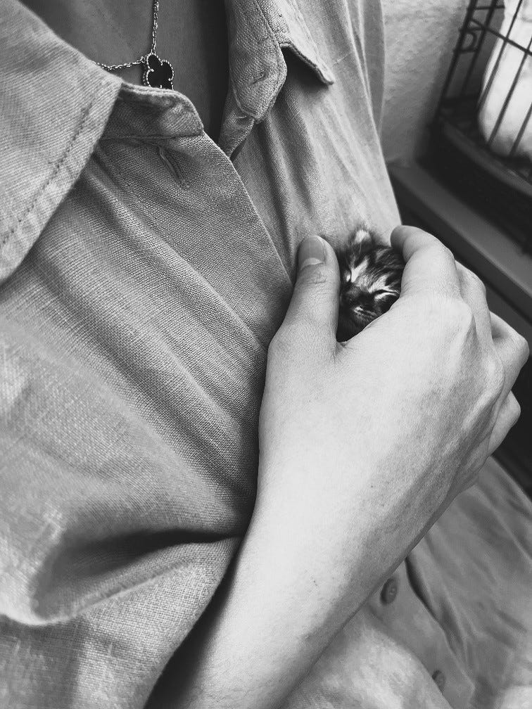 To Him We Belong, and to Him We Shall Return | by YJ | Blue Insights ...