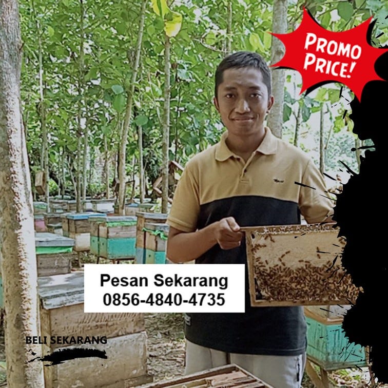 CALL 0856–4840–4735 Pusat Perkulakan Supplier Madu Sarang Lebah Untuk ... CALL 0856–4840–4735 Pusat Perkulakan Supplier Madu Sarang Lebah Untuk ...
