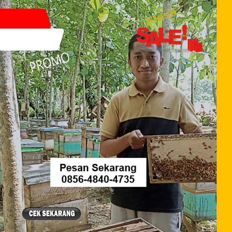 CALL 0856–4840–4735 Pusat Perkulakan Supplier Madu Sarang Asli Untuk Wajah Mulia Palu | by ...
