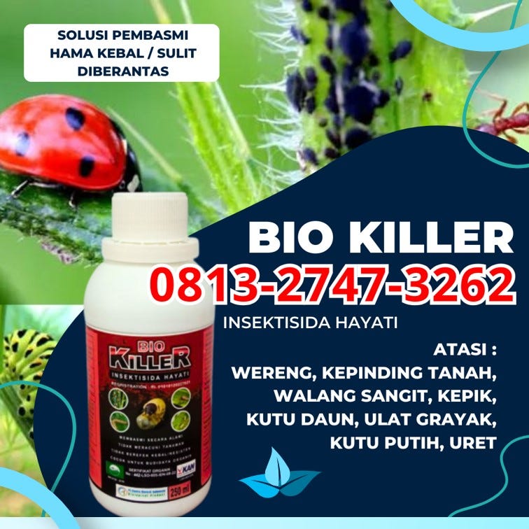 OPEN RESELLER 0813*2747*3262, JUAL Pembasmi Hama Kota Payakumbuh ...