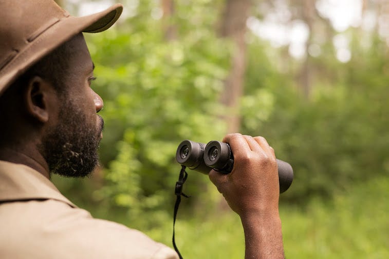 Birdwatching Safaris in East Africa: A Feast for Nature Enthusiasts ...