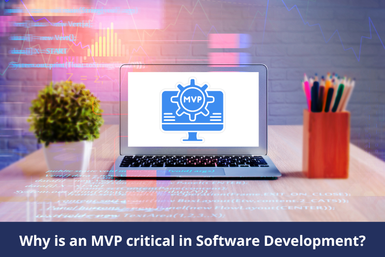 Why is an MVP critical in Software Development? | Nerd For Tech
