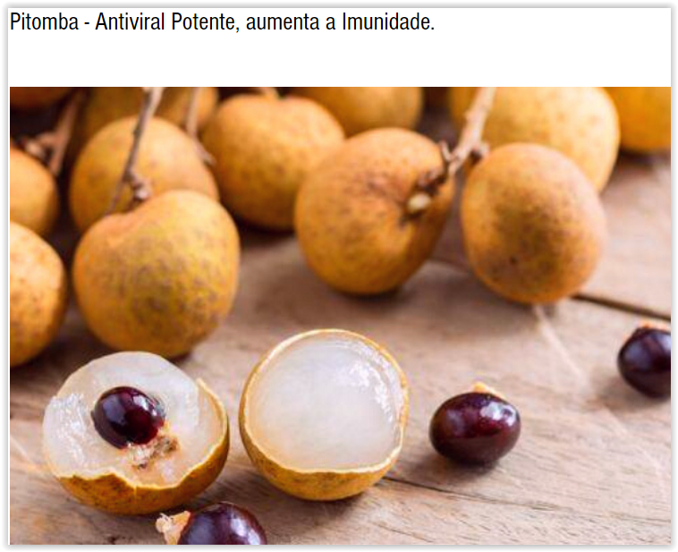 Pitomba Fruto de nome cientifico Talisia suculenta da família ...