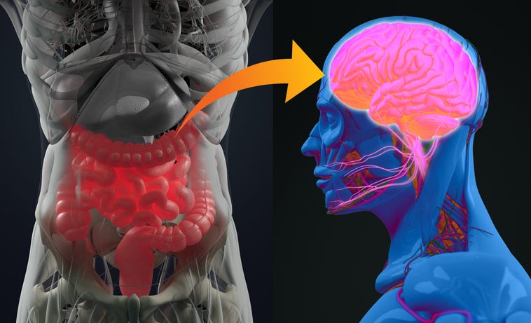 A Deep Dive into Propion, Cutting-Edge Health Science | by Nicholas ...
