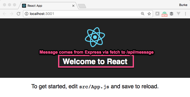 Introducing Express React Starter | by Burke Holland | Burke Knows Words | Medium