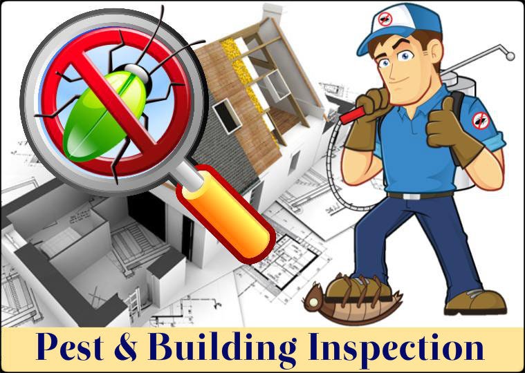 Difference Between Pest And Building Inspection & Some Common Related ...