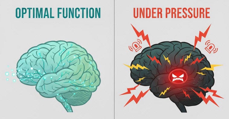 Grad Students: What Actually Happens in Your Brain During Your Defense ...