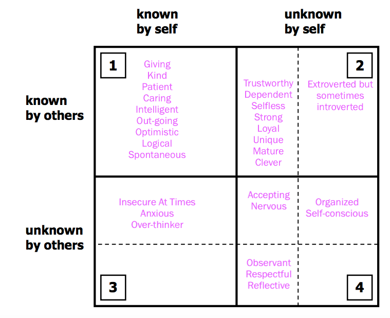 Johari Window Model. Completing this model was super… | by Kaylin ...