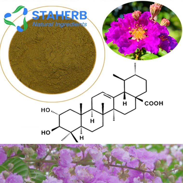 Banaba extract Corosolic acid. Changsha Staherb Natural Ingredients ...