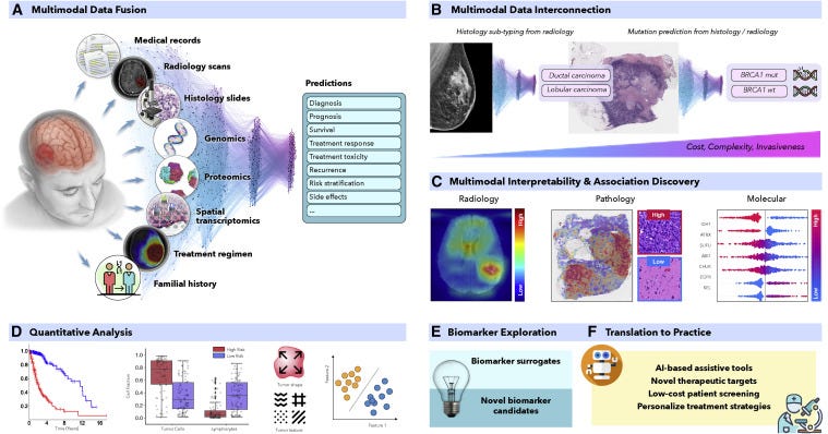 A Technical Deep Dive into Multimodal AI: Architectures, Challenges, and Advances in Fusing Text ...