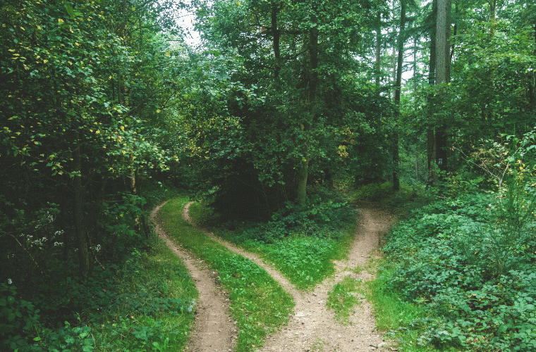 4 Paths into Independent Consulting: Which is Best for You? | by ...