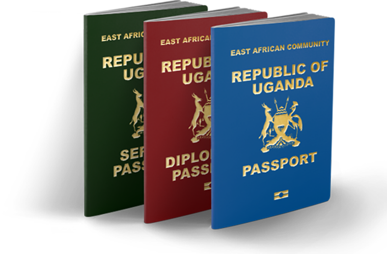 Top 15 Common Passport Questions (and Answers) | by Time2fly | Jul ...