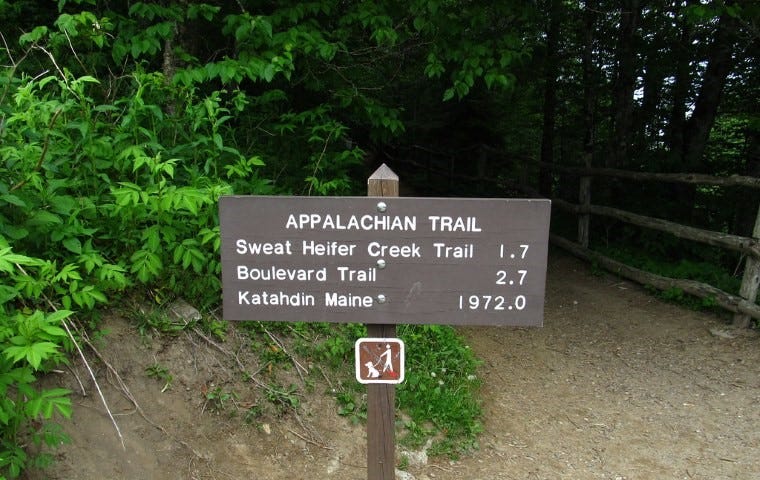 Google Doodle Celebrates the Appalachian Trail: A Journey Through ...
