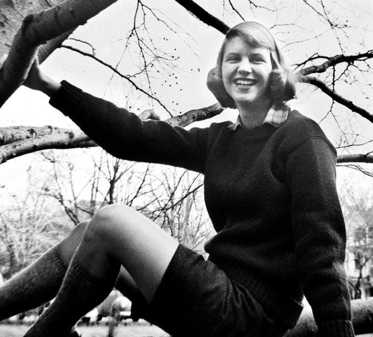 Sylvia Plath: Beauty of Poetry Within Life’s Despairs | by Aislyn Bohn ...