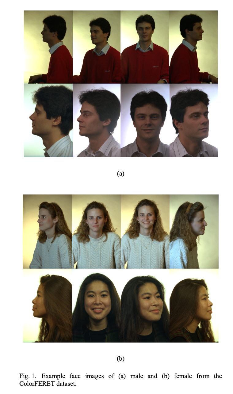 Gender Recognition From Facial Images Using Local Gradient Feature Descriptors By Olarik