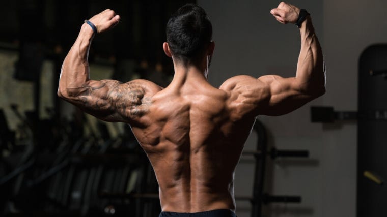 Top Exercises For Back (Very Quick) | by Tristan Muzzu | Medium