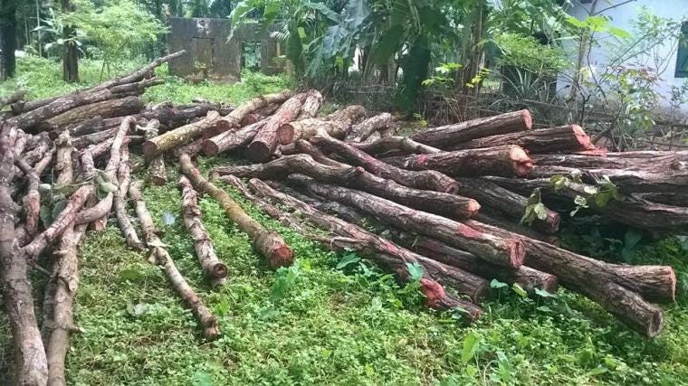 Why Assam urgently needs an integrated forest policy? | by Hriday Ch. Sarma | The Himalayan | Medium