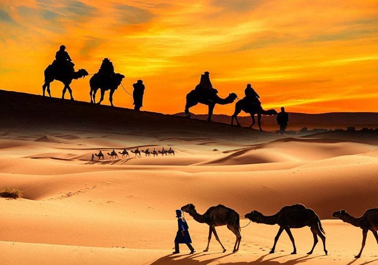 How to Pick the Best Dubai Desert Safari Package for Families | by Atv ...
