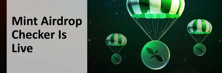 Claim Mint Chain Airdrop: Step-by-Step Guide | Medium