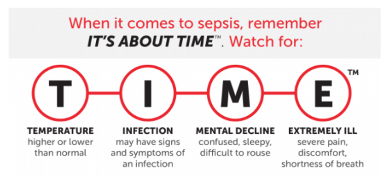 Respiratory System And Sepsis. What is Sepsis? | by Seenu Raj | Medium