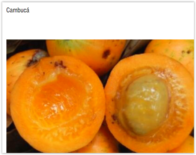 Cambucá. Fruto de bagas com nome científico… | by dr.leo kahn | Medium