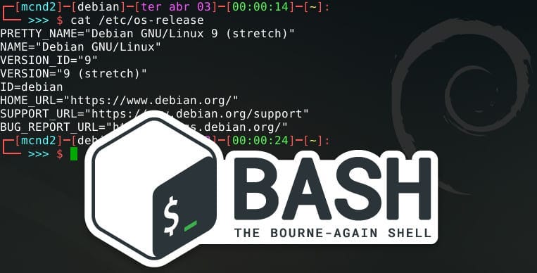 Bash. Lançado originalmente em 1989, Bash… | by Gustavo Araujo | Medium