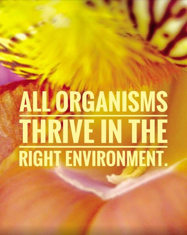 All Organisms Thrive In The Right Environment | by Valerie Lynn ...