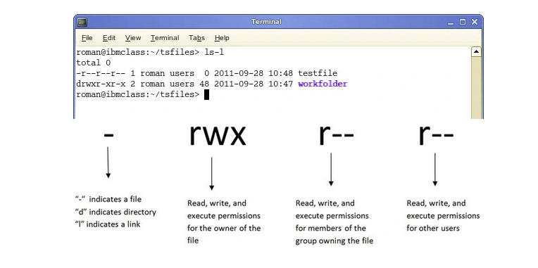 Basic Linux Commands. Here, you ll get familiar with the… | by Muhassan ...