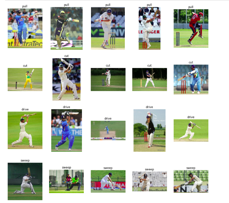 Classifying Cricket Shot using Pose of the Player Image | by kajal ...