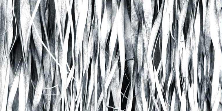 Feature Engineering For Deep Learning | by Jean-François Puget | Inside ...